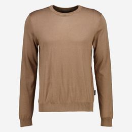 Replay Brauner Pullover