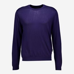Replay Blauer Pullover mit Rundhalsausschnitt