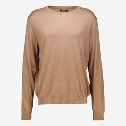 Replay Brauner Pullover