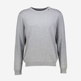 Replay Grauer Pullover mit Rundhalsausschnitt