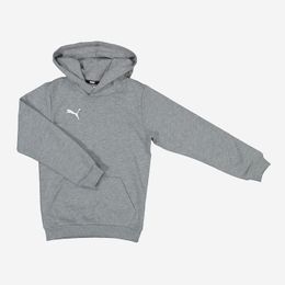 Puma Grauer Teamsport TeamGoal Casual Kapuzenpullover