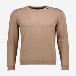 Replay Brauner Pullover mit Logo
