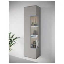 Vitrine Inosign "Kenia, stehend und hängend, Türanschlag wechselbar", pallad grau, B:45cm H:161cm T:32cm, Schränke, Vitrineschrank mit Glastüren 160 cm Höhe