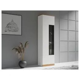 Vitrine Home Affaire "Ribe,180cm hoch,5 Fächer,2 Glasböden variabel einsetzbar", weiß (weiß, eiche), B:50cm H:180cm T:35cm, Holz teilmassiv, Schränke, Oberplatte Eiche massiv,dunkles Glas, schwarze Metall Griffe