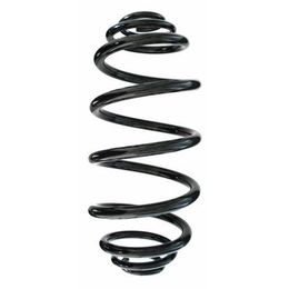 SPIDAN Fahrwerksfeder hinten rechts links Miniblock 161mm für RENAULT 8200796577 87230