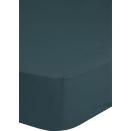 Spannbettlaken Good Morning "Jersey Spannbettlaken", blau (petrol), B:90 L:220, Jersey, Obermaterial: 100% Baumwolle, Bettlaken, 100% Baumwolle, Jersey, Rundumgummi, bis 25 cm höhe, 90/100x200, Weiß