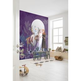 Fototapete Komar "Digitaldruck Vlies - Frozen Full Moon Hike - Größe 200 x 250 cm", bunt, Rollen:, Vlies, Tapeten, Kinderzimmer