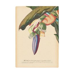 Bild Komar "Banana Heart", bunt (farbe bild(er): bunt), B:30cm H:40cm, Holz, Papier, Bilder, Wandbild zur Dekoration - ohne Rahmen