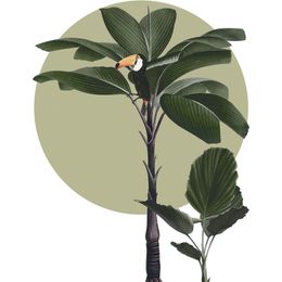 Bild Komar "Botanical Garden Palmtree", grün (farbe bild(er): grün), B:50cm H:70cm, Holz, Papier, Bilder, Wandbild zur Dekoration - ohne Rahmen