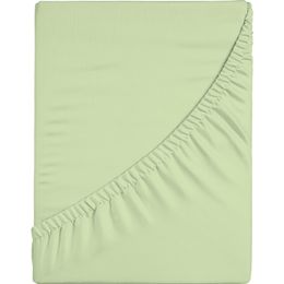 Spannbettlaken bellana "bellana premiumstretch", lind, 1 Stk., Jersey-Elasthan, 90-120x200-220, Jersey-Elasthan, Obermaterial: 95% Baumwolle, 5% Elasthan, Bettlaken, super elastisch