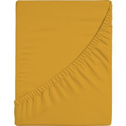Spannbettlaken bellana "bellana premiumstretch", gold, 1 Stk., Jersey-Elasthan, 140-160x200-220, Jersey-Elasthan, Obermaterial: 95% Baumwolle, 5% Elasthan, Bettlaken, super elastisch