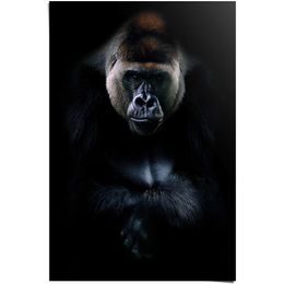 Poster Reinders "Gorilla Gorilla", schwarz (farbe bild(er): schwarz), B:61cm H:91,5cm, Papier, Bilder, Poster