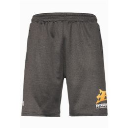 Shorts DEF "DEF", Herren, Gr. 3XL, US-Größen, blau (antracite), 100% Polyester, normal, Hosen