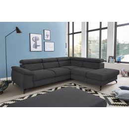 Ecksofa COTTA "Kitty L-Form, B: 249 cm", grau (dunkelgrau), B:249cm H:72cm T:207cm, Microfaser (100% Polyester);Flachgewebe (100% Polyester), Sofas, Ecksofa, mit Kopfteilverstellung, optional Bettfunktion & Bettkasten