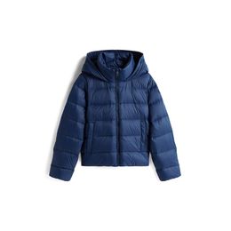 Tommy Hilfiger Winter Jacket female Blue size L