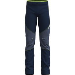 Crazy Viper - Trekkinghose - Herren