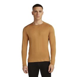 Icebreaker Merino 260 Tech - Funktionsshirt - Herren