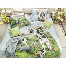 Wendebettwäsche Irisette "Magic-K 8844", bunt (multi), B/L: 155cm x 220cm, 1 Stk., 1 Stk., Mako-Satin, B/L: 80cm x 80cm, 2 Stk., Mako-Satin, Obermaterial: 100% Baumwolle, Bettwäsche, edler Digitaldruck