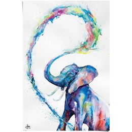 Poster Reinders "Elefant Art", bunt (farbe bild(er): mehrfarbig), B:61cm H:91,5cm, Papier, Bilder, Poster