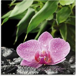 Glasbild Artland "Rosa Orchidee auf schwarzen Zen Steinen", pink (farbe bild(er): pink), B:20cm H:20cm, Bilder, in verschiedenen Größen