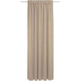 Vorhang Adam "Uni Collection", braun (hellbraun), B:142cm H:355cm, Baumwolle (Bio-Baumwolle), Gardinen, Blickdichter aus 100% Bio-Baumwolle