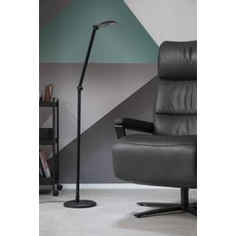 Schöner Wohnen Kollektion Stehlampe "Office", schwarz, 1, H: 128cm, 1 Stk., SCHÖNER WOHNEN-KOLLEKTION, Leuchten, 1x LED 7,5 Watt, 3000 Kelvin, 850 Lumen,dimmbar, Bogenlampe