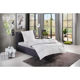 Daunenbettdecke Ribeco "Ella", weiß, B:200cm L:220cm, Bezug: 100% Baumwolle. Füllung: 90% Entendaune, 10% Entenfeder, Bettdecken, Zum Top-Preis