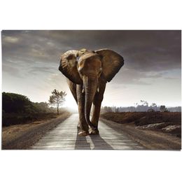 Poster Reinders "Elefant Wanderung", braun (farbe bild(er): braun), B:91,5cm H:61cm, Papier, Bilder, Poster
