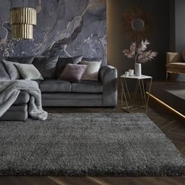 Hochflor-Teppich FLAIR RUGS "Velvet", grau (graphit), B:120cm H:40mm L:170cm, Kunstfaser, Teppiche