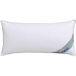 Federkissen Balette "Lena", weiß, B:40cm L:80cm, Bezug: 100% Baumwolle. Füllung: 100% Federn, Kopfkissen, Kopfkissen in 40x80 und 80x80 erhältlich