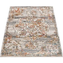 Teppich Paco Home "Herbete 734", grau, B:120cm H:8mm L:170cm, Polyester, Polypropylen, Teppiche, Kurzflor, Orient-Optik, Vintage Design