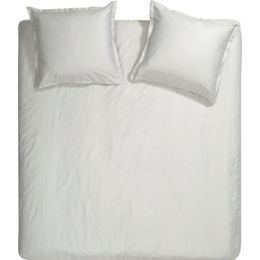 Bettwäsche Cinderella "Plain Sundays", grau (light grau), B/L: 200cm x 200cm, 1 Stk., 2 Stk., Satin, B/L: 80cm x 80cm & 80cm x 80cm, 3 Stk., Satin, Obermaterial: 100% Baumwolle, Bettwäsche, mit Stehsaum