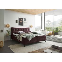 Boxbett ED EXCITING DESIGN "Melrose", lila (aubergine), B:162cm L:210cm, 100% Polyester, Komplettbetten, Boxspringbett, inkl. Topper