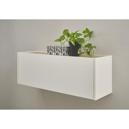 Mehrzweckschrank Inosign "GiRON/CiTY, Wandgarderobe in vier Farben, Wandschrank", weiß, B:100cm H:35cm T:30cm, FSC-zertifizierter Holzwerkstoff, Schränke, Hängeschrank zeitlos modern, wohnliches Home Office, Breite 100 cm