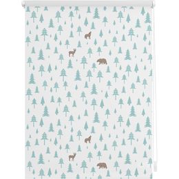 Seitenzugrollo LICHTBLICK ORIGINAL "Klemmfix Motiv Okko" Gr. 7, blau (weiß, türkis, weiß), B:120cm H:150cm, Polyester, Rollos, bedruckt