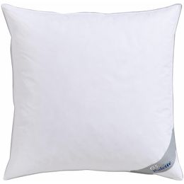 Federkissen Balette "Lena", weiß, B:80cm L:80cm, Füllung: 100% Federn, Kopfkissen, Kopfkissen in 40x80 und 80x80 erhältlich