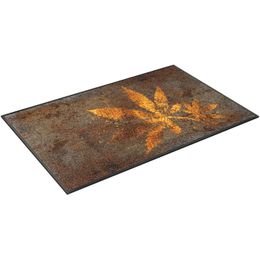 Fußmatte, braun (rost, braun), B:50cm H:7mm L:75cm, Polyamid, Teppiche