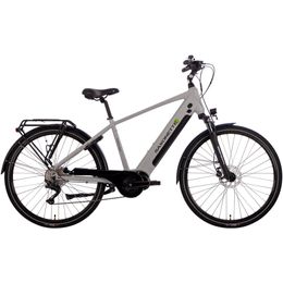 E-Bike SAXONETTE "Premium Sport (Diamant)" Gr. 54, silber (silberfarben, schwarz), Elektrofahrräder, Damen, 54cm, 28 Zoll (71,12cm), Pedelec, Elektrofahrrad für Herren