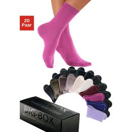 Basicsocken GO IN, Damen, Gr. 35-38, bunt (2x braun, 2x beige, 2x lila, 1x beere, 1x ruby, 1x khaki, 11x schwarz), Baumwolle, Baumwollmischung, Elasthan, Polyamid, unifarben, elastisch, Socken, in der großen Big-Box