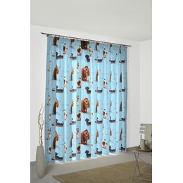 Vorhang WIRTH "Pets" Gr. 2, blau, B:142cm H:175cm, Satin, Polyester, Gardinen, Universal Pictures