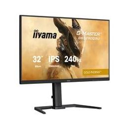 iiyama G-Master GB3290QSU-B1 Gold-Phoenix, Gaming-Monitor 80 cm (31.5 Zoll), schwarz (matt), QHD, IPS, Free-Sync-Premium, 240Hz Panel