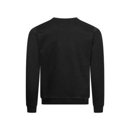 Pierre Cardin Sweatshirt Pullover
