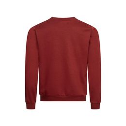Pierre Cardin Sweatshirt Pullover