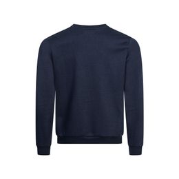 Pierre Cardin Sweatshirt Pullover