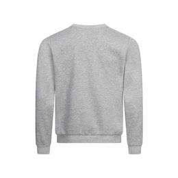 Pierre Cardin Sweatshirt Pullover