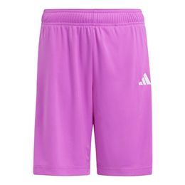 adidas Sportswear Sportshorts 'Sereno' Jungen Größe 152 lila