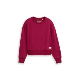 Tom Tailor Sweatshirt Jungen Größe 176 grenadine
