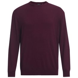 VanVaan Herren Pullover mit Kaschmir