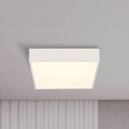 Searchlight LED-Bad-Deckenlampe Zeus, weiß, Länge 30 cm, Metall