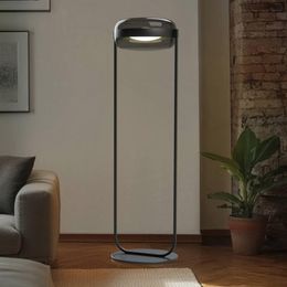 LUCANDE LED-Stehleuchte Auro, schwarz, Glas, Höhe 150cm